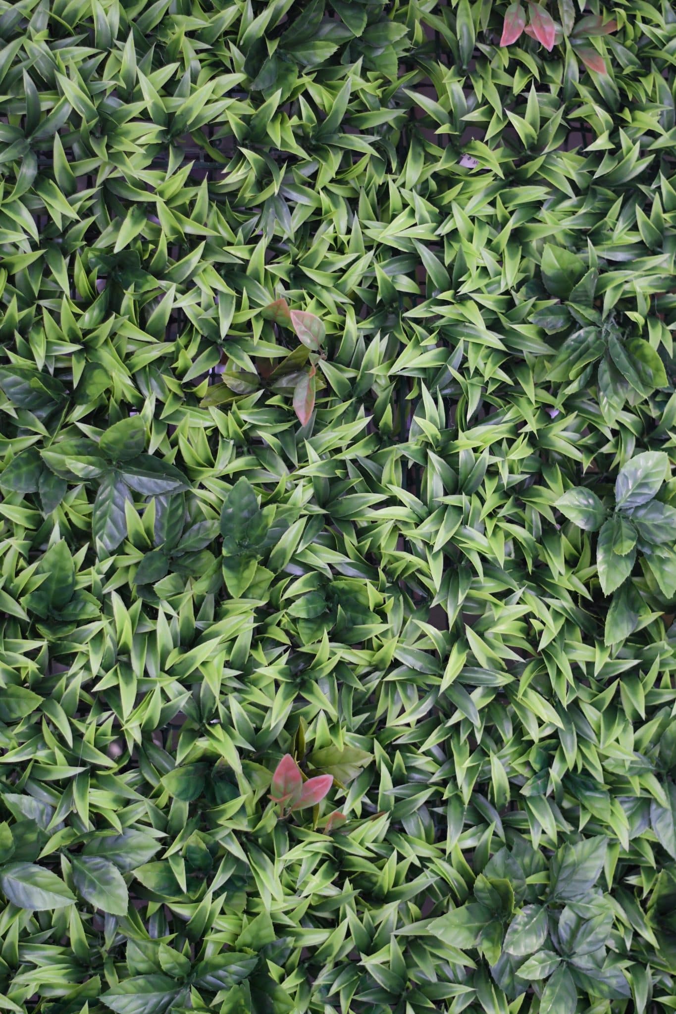 Foliage Wall Backdrop - AB Event Hire